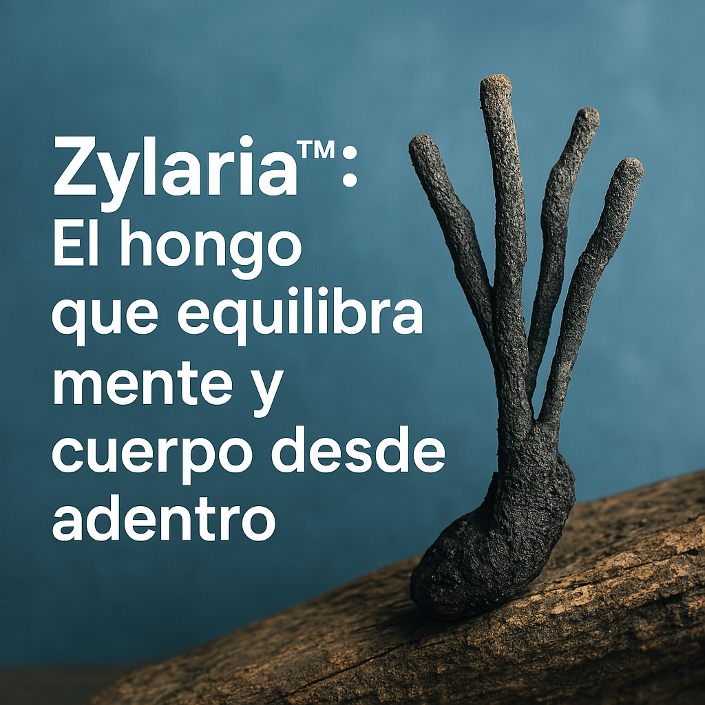 PM 360 - Zylaria, Bisglicinato de Magnesio, GABA, L-Triptófano, Glicin ...